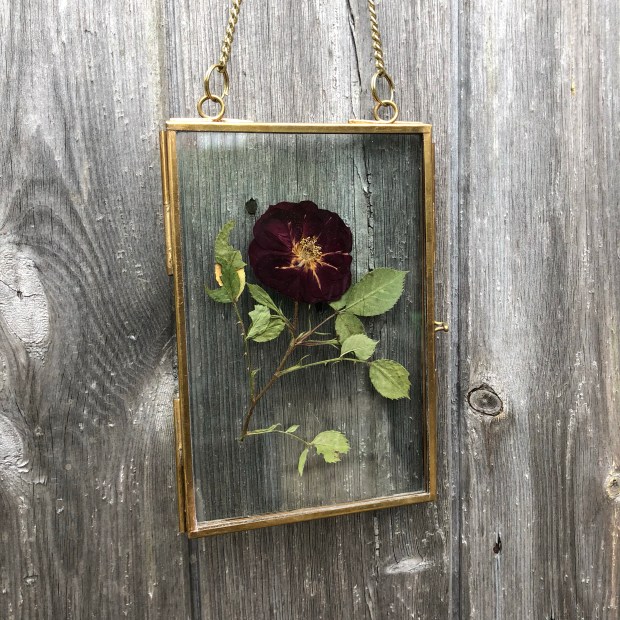 Dried Flower Frame Tutorial – I Heart Maggie