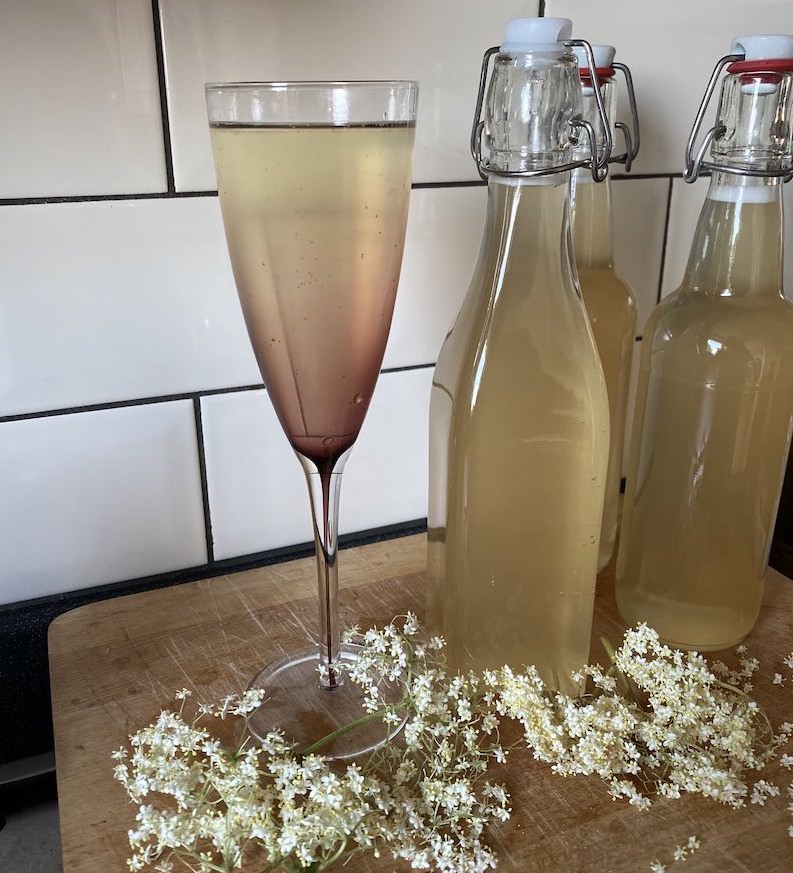 Easy Elderflower, Lemon & Mint Cordial – I Heart Maggie